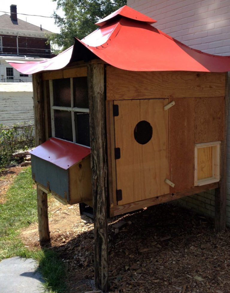 Best Nest Box - Backyard Poultry
